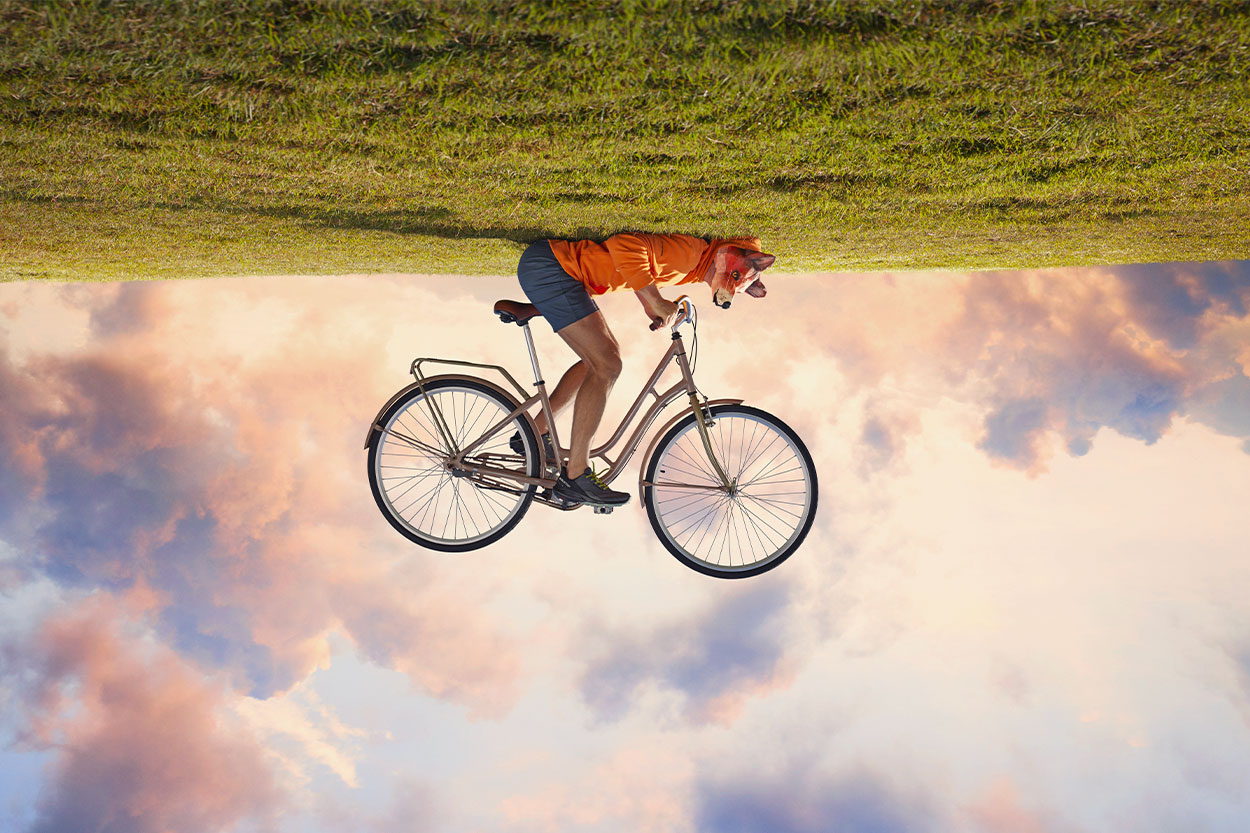 Collection Kathmandu "Summer Never Sleeps" | Viacomit